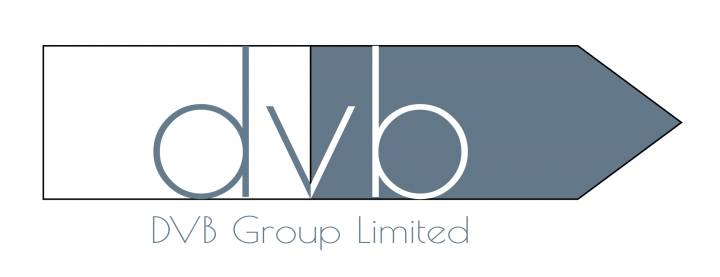 Our Services – DVB Group